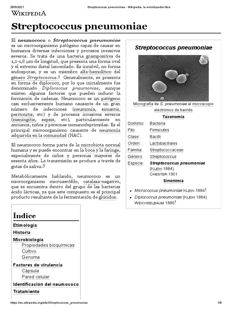 Streptococcus Pneumoniae - Wikipedia, La Enciclopedia Libre | Descargar gratis PDF | Organismos ...