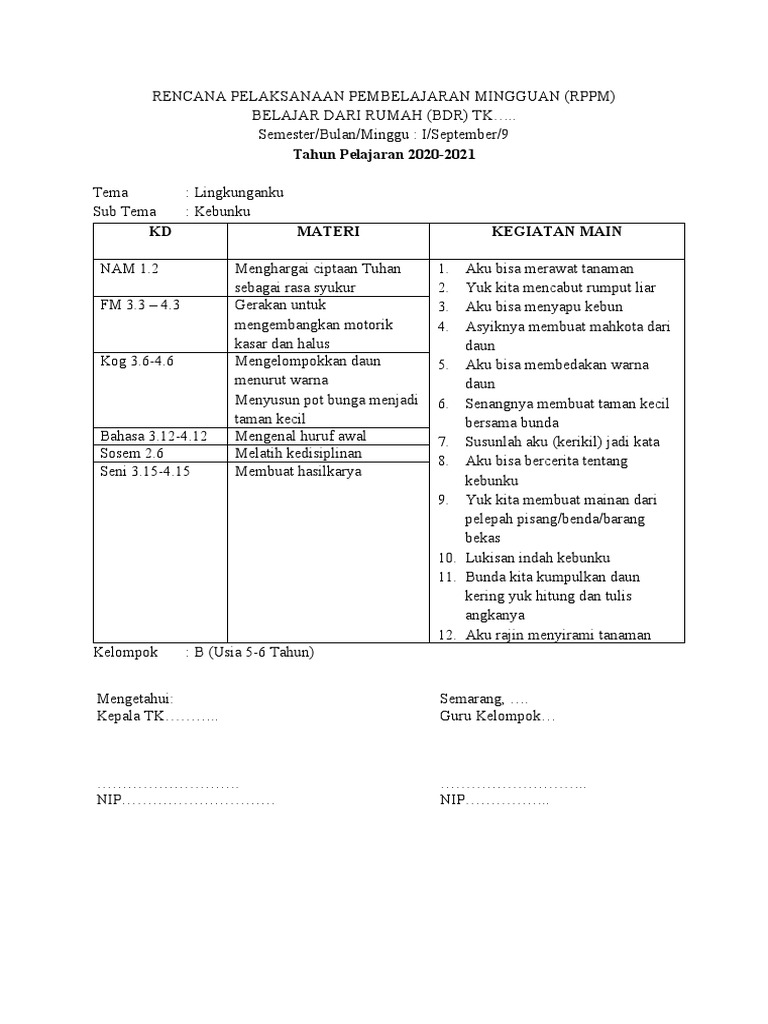 RPPM BDR Minggu 9 | PDF