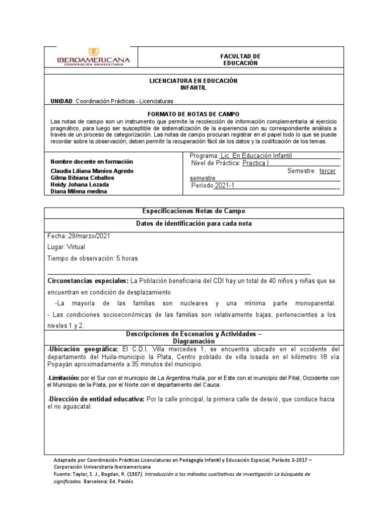 Formato Notas de Campo | PDF | Educación primaria | Familia