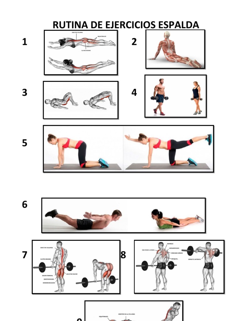 Rutina de Ejercicios Espalda | PDF