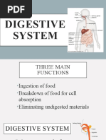 The Journey of A Cheese Sandwich! | PDF | Digestion | Digestive System