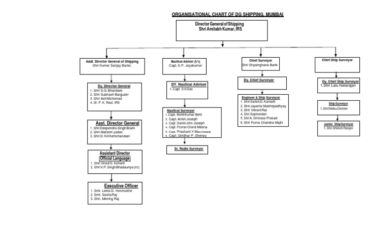 DG Shipping Organizational Chart | PDF