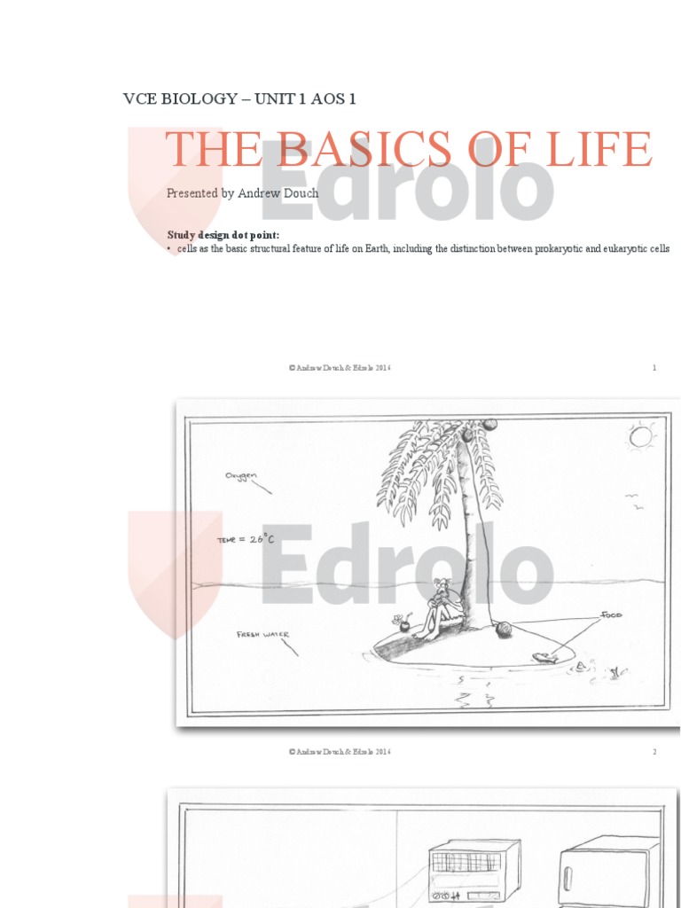The Basics of Life: Vce Biology - Unit 1 Aos 1 | PDF | Prokaryote ...