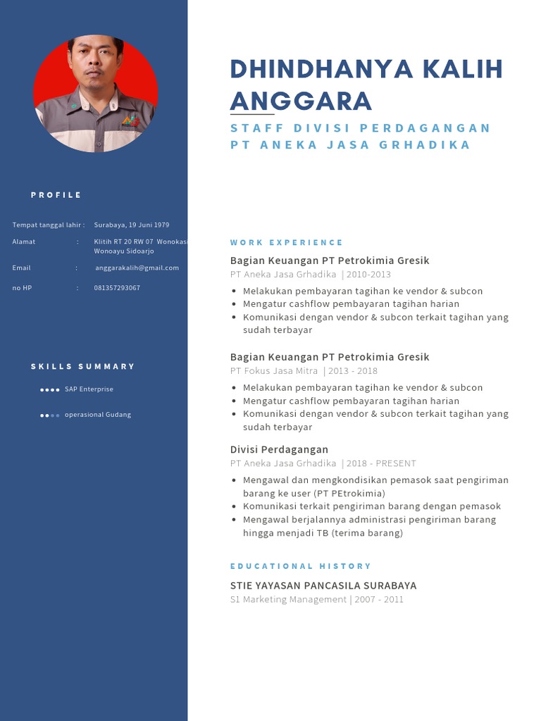 CV Boss | PDF