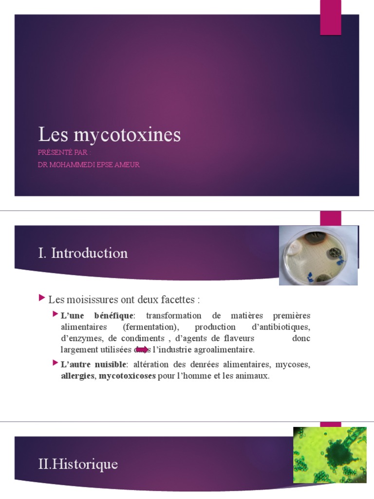 Les Mycotoxines ESSAIA | PDF | Mycotoxine | Spécialités médicales