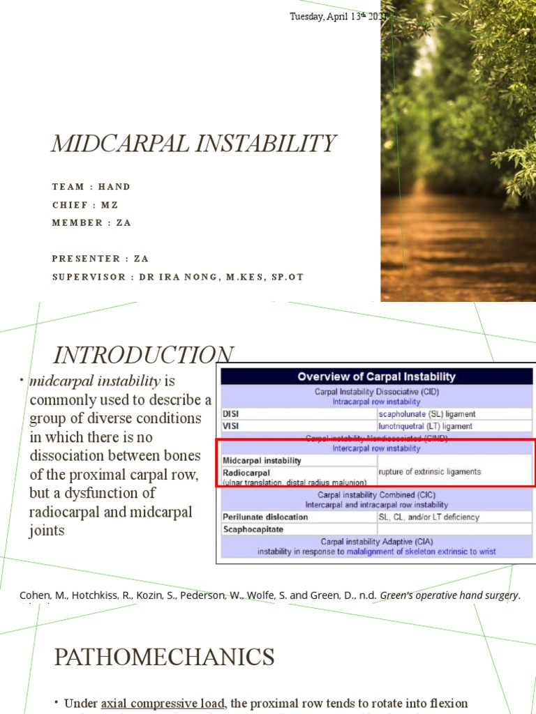 Classification and Treatment Approaches for Midcarpal Instability | PDF ...