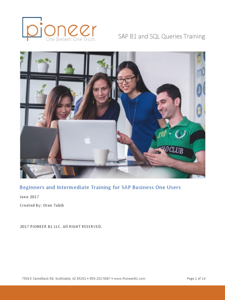SAP B1 SQL Queries Training Guide | PDF | Data Management | Information ...