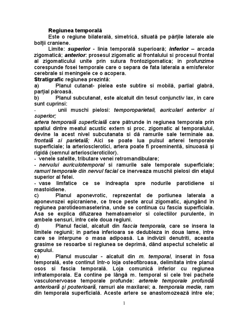 Anatomia Capului | PDF