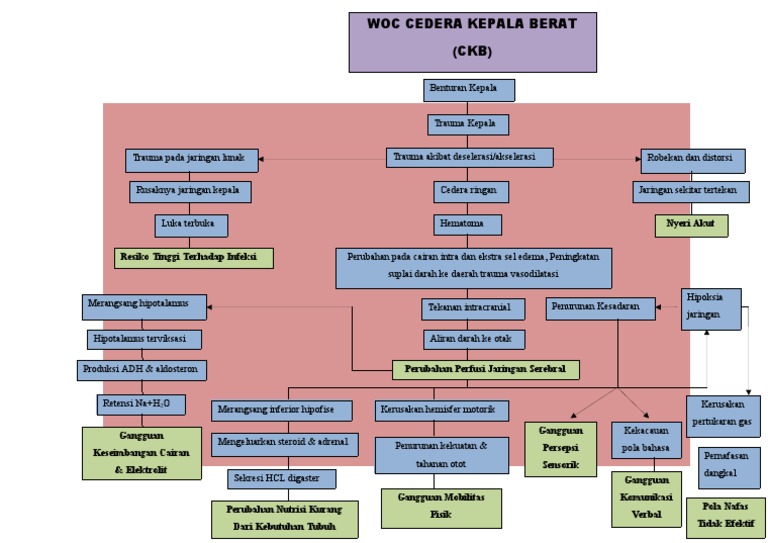 Woc CKB Kritis | PDF
