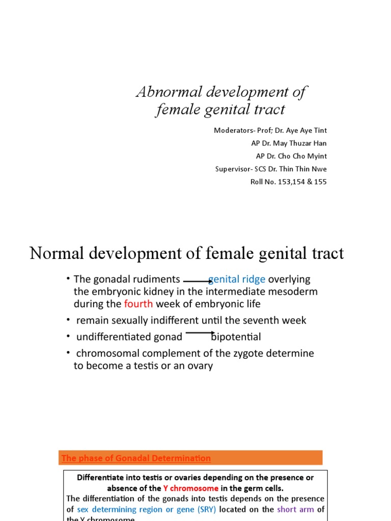Abnormal Development of Female Genital Tract | PDF | Uterus | Vagina