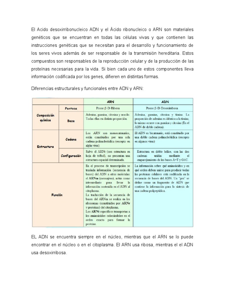 Cuadro Comparativo ADN y ARN | PDF