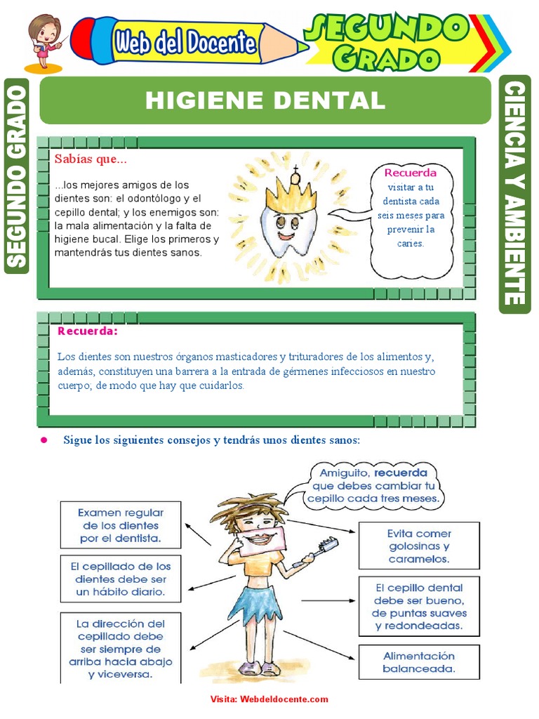 Higiene Dental para Segundo Grado de Primaria | PDF