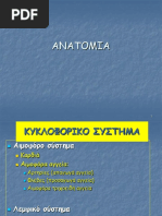 TO ΟΥΡΟΠΟΙΗΤΙΚΟ ΣΥΣΤΗΜΑ-ΑΝΑΤΟΜΙΑ | PDF