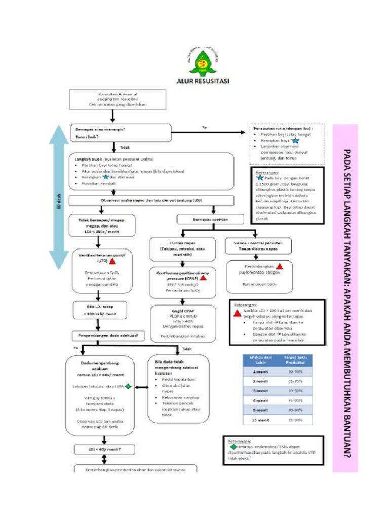 Alur Resusitasi Neonatus New | PDF