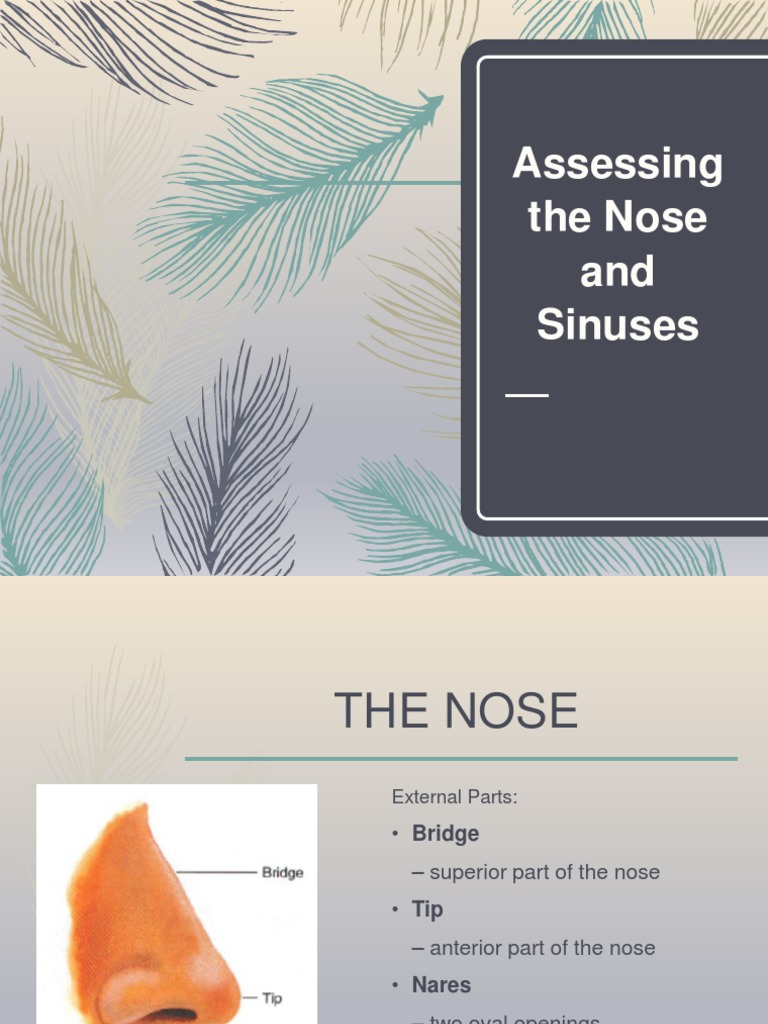 NCM 101 08 - Nose and Sinuses | PDF | Human Nose | Human Head And Neck