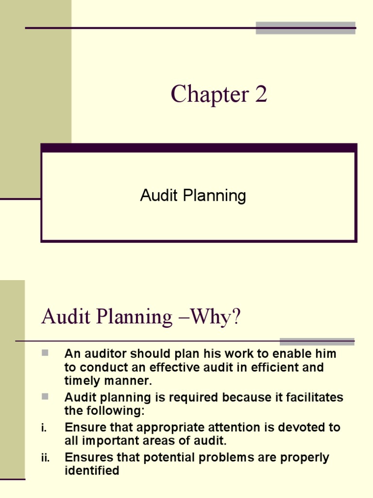 Audit Planning and IS Control Guide | PDF | Internal Control | Audit
