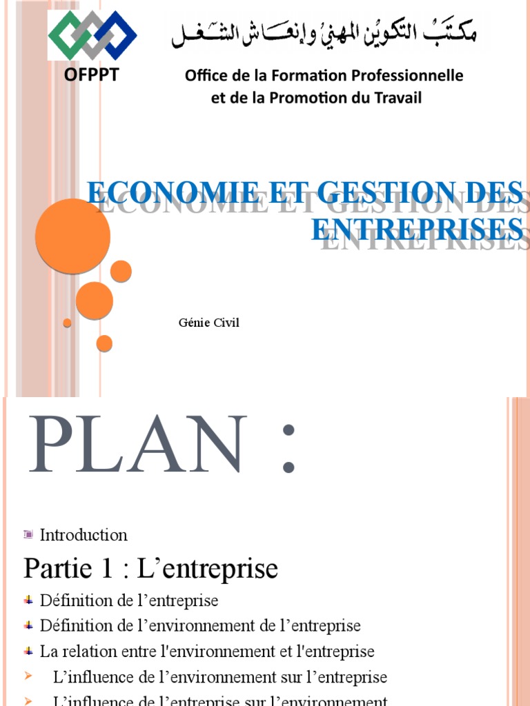 Economie Et Organisations Des Entreprises | PDF | Sociétés | Environnement naturel