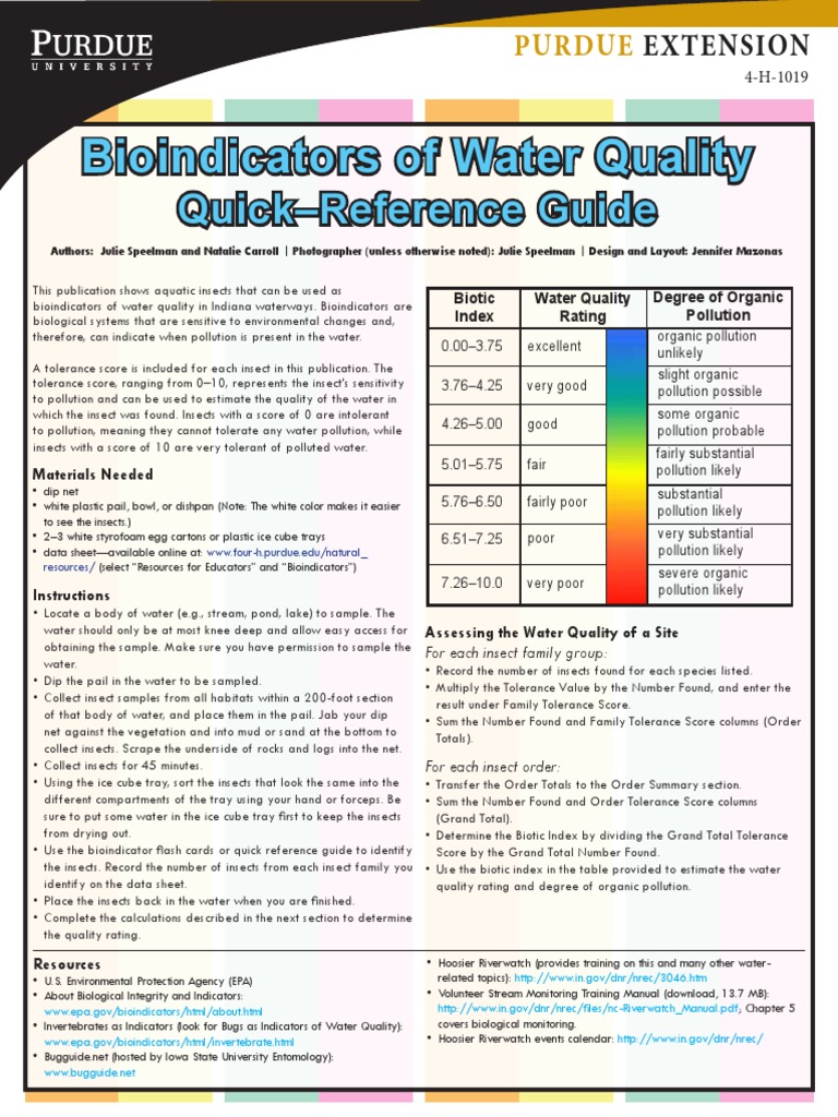 Aquatic Insect Bioindicators Guide | PDF | Beetle | Water Quality
