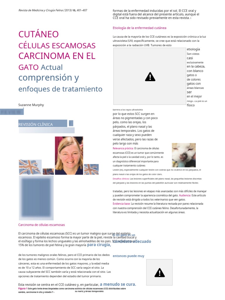 CCE Cutáneo Felino UPDATE 2013 MURPHY - En.es Traducido | PDF | Gatos ...