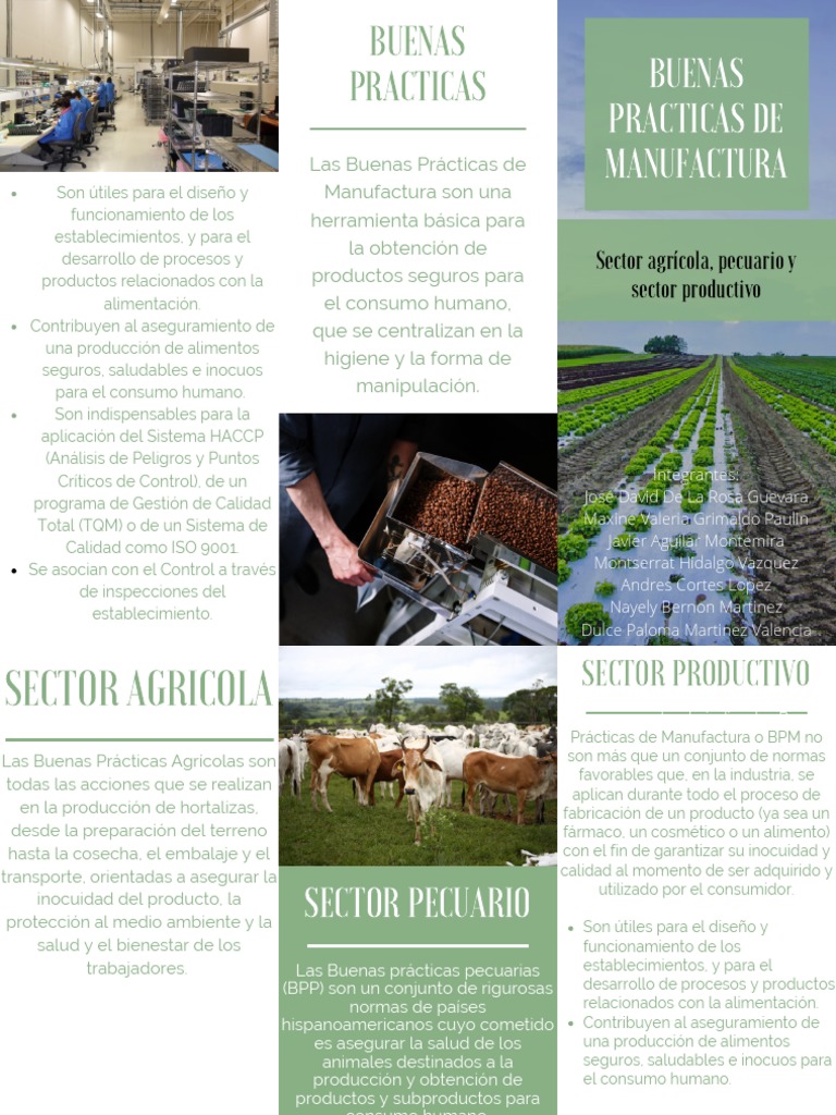 Triptico Gestion de La Calidad e Inocuidad | Download grátis PDF ...