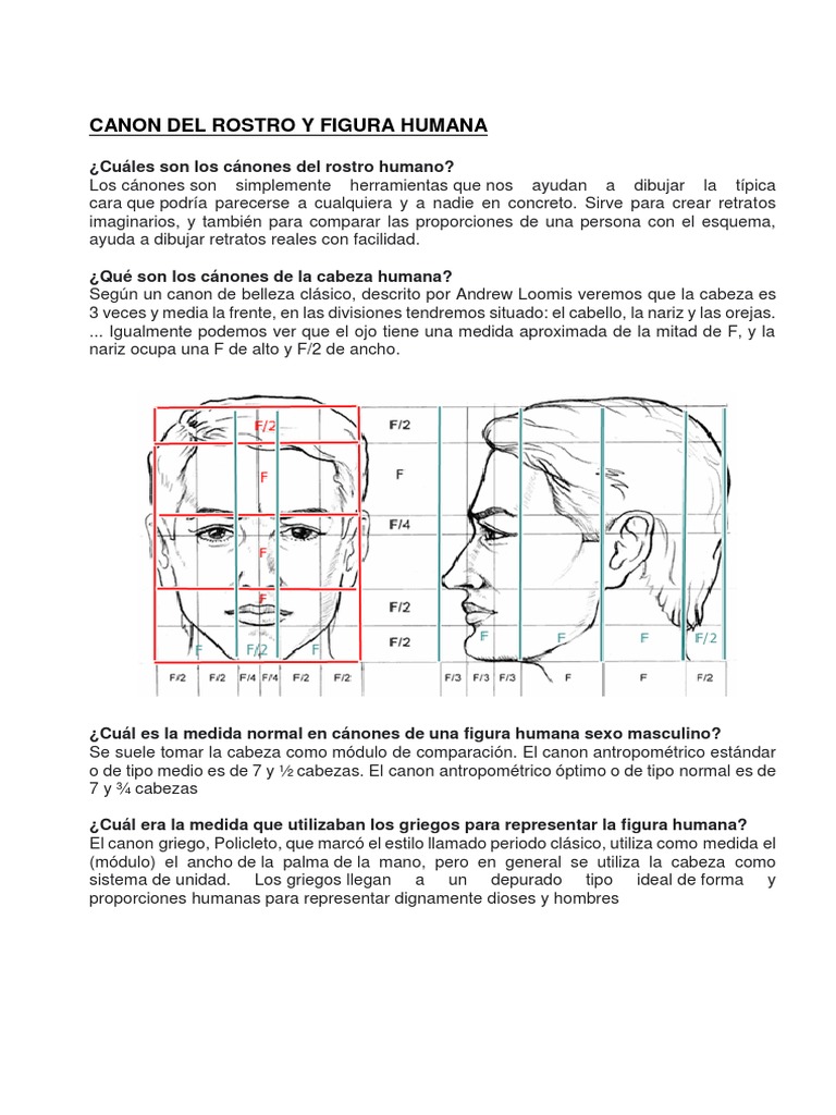 Proporciones Del Rostro Humano Cómo Dibujar Caras Y Expresiones