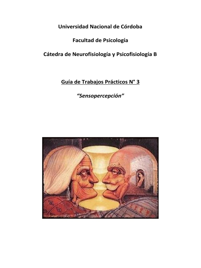 Guía TP 3 Sensopercepción | PDF | Sistema visual | Percepción