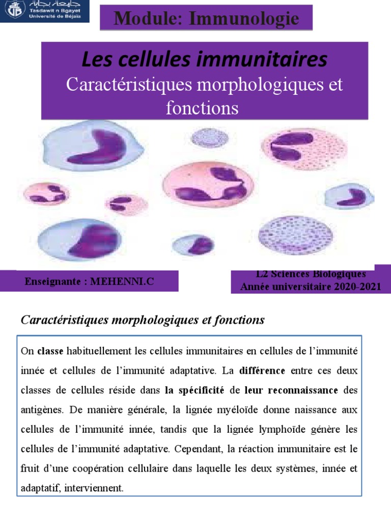 Cours 3 Cellules Immunitaires 2021 | PDF | Macrophage | Système immunitaire