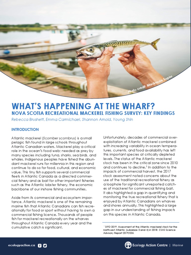 EAC: What's Happening at The Wharf? Nova Scotia Recreational Mackerel ...