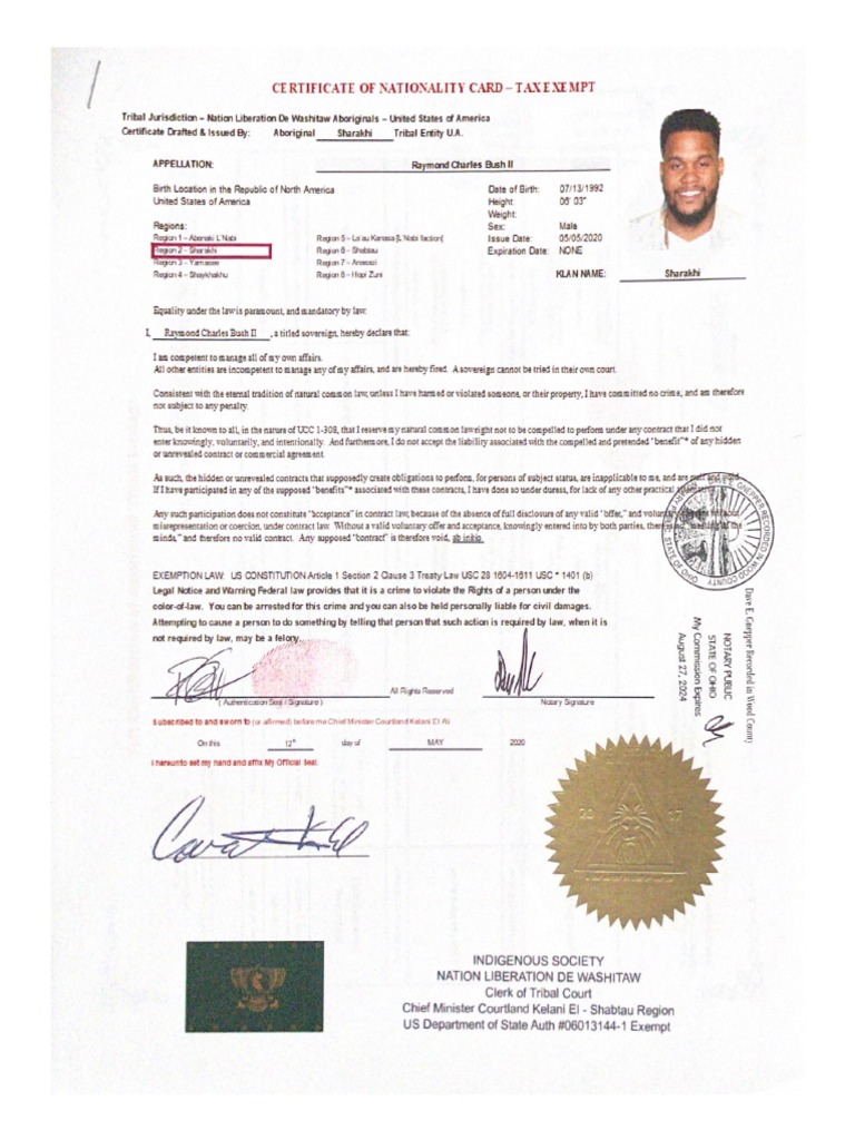 Nationality Declaration Papers | PDF