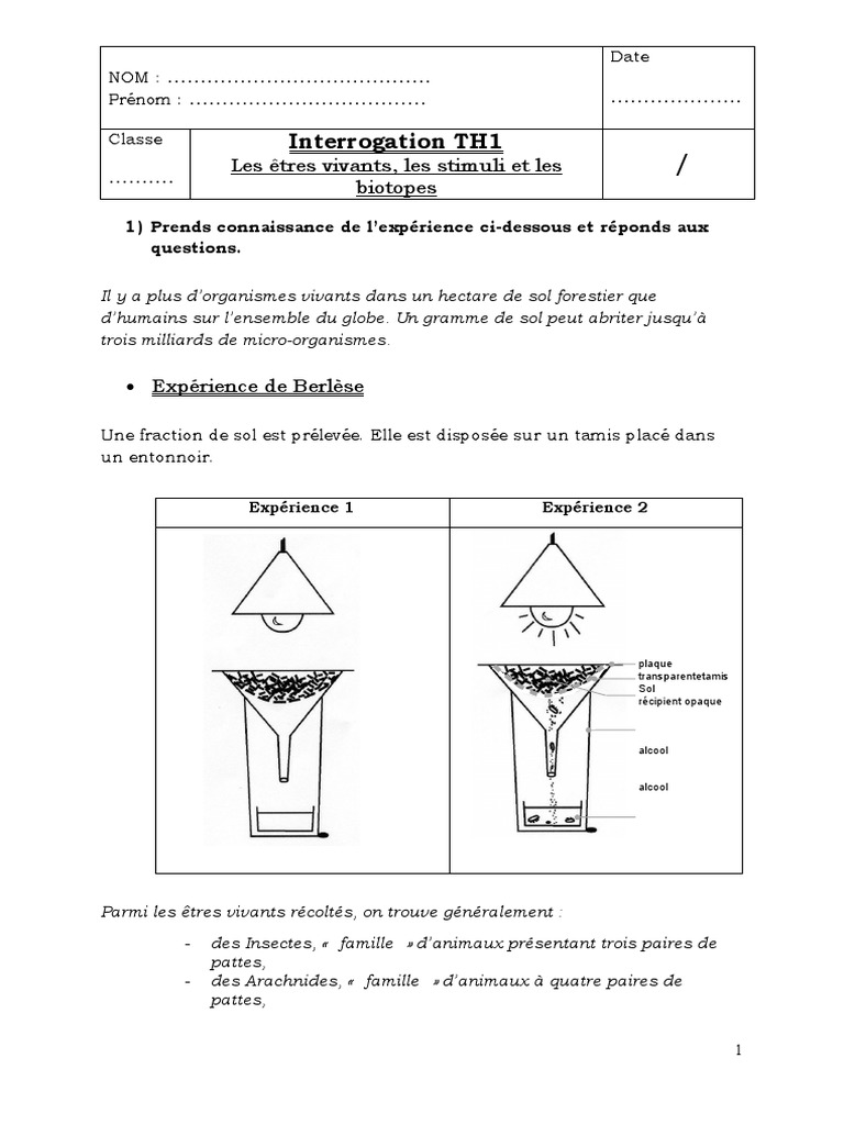 Interro | PDF | Insectes | Science
