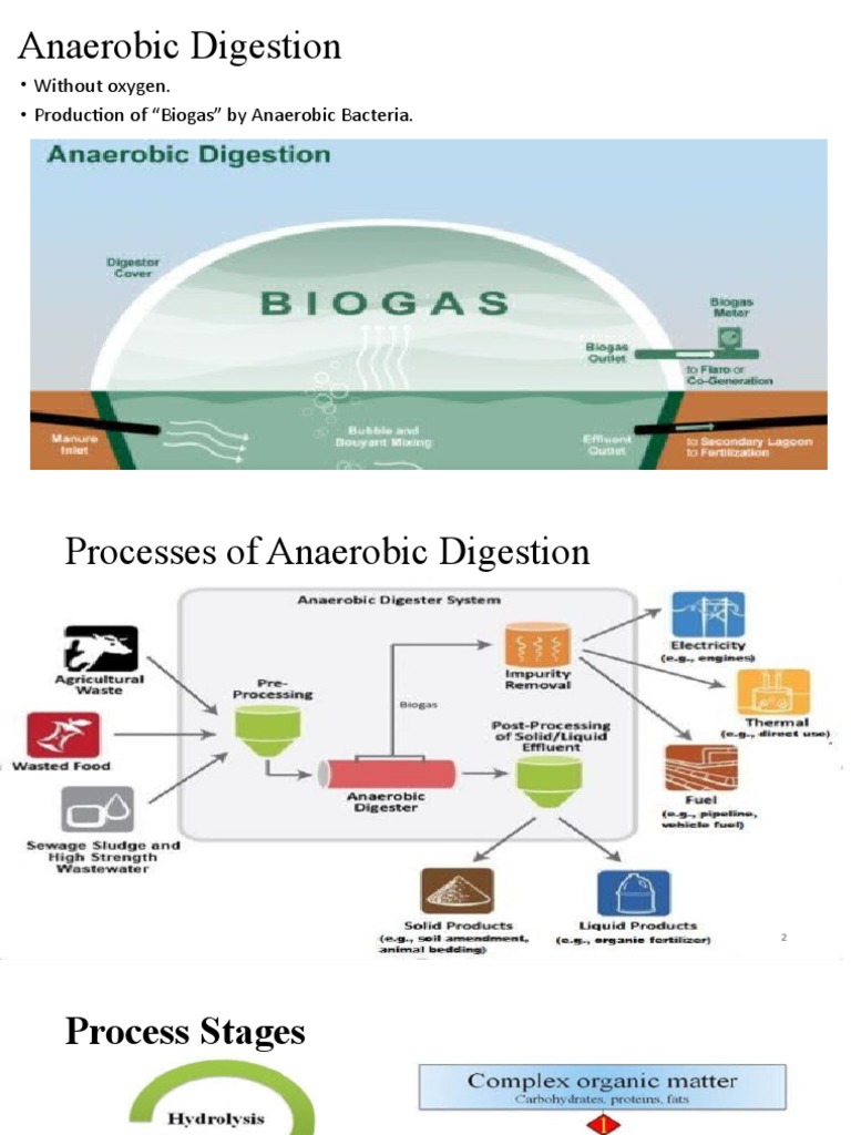 Anaerobic Digestion: - Without Oxygen. - Production of "Biogas" by ...