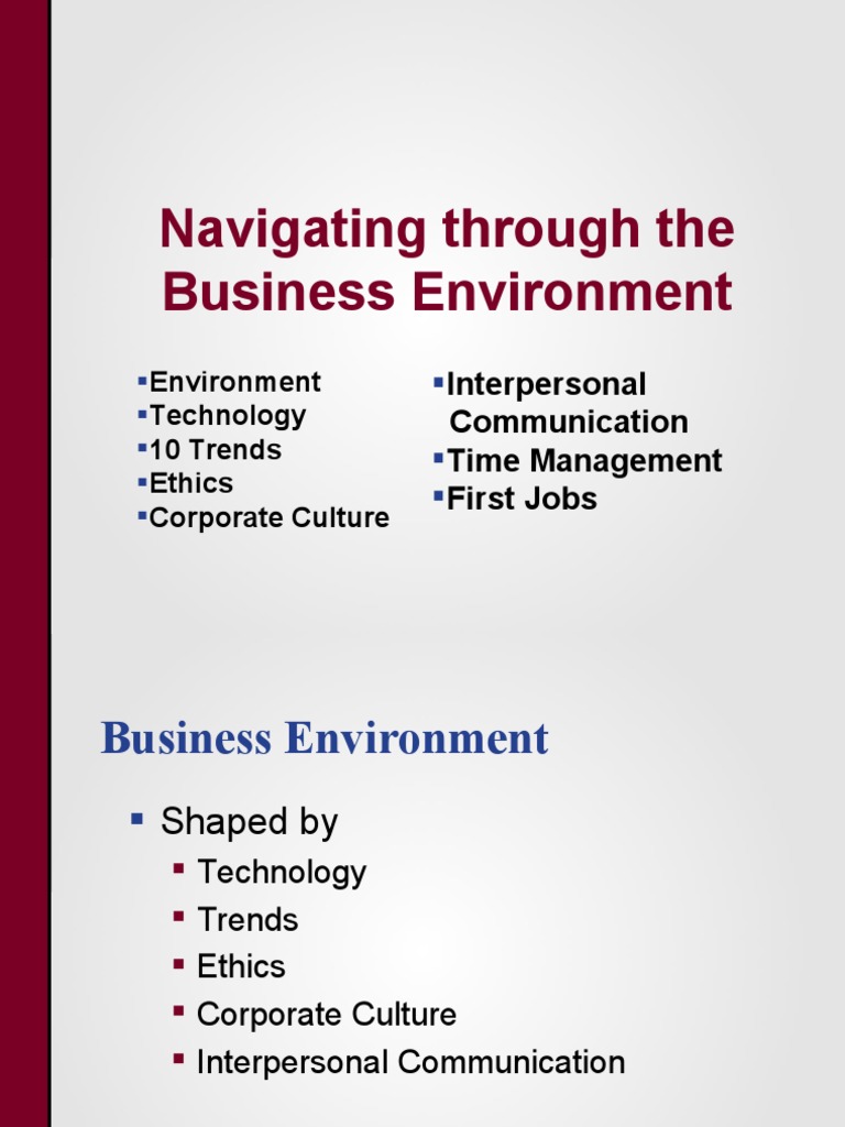 Navigating Through The Business Environment: Interpersonal ...