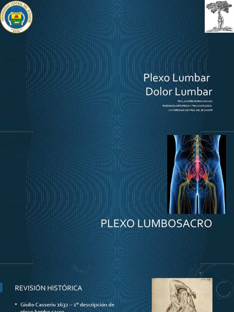 Plexo Lumbar | PDF | Medicina CLINICA | Enfermedades y trastornos