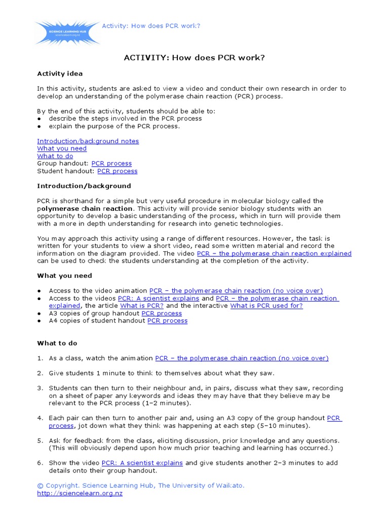 ACTIVITY: How Does PCR Work? | PDF | Polymerase Chain Reaction | Life ...