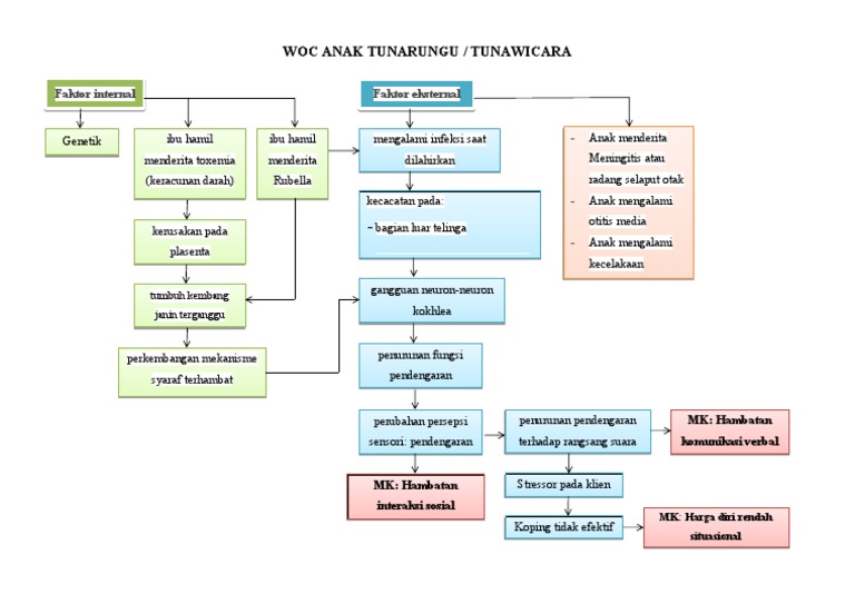 Woc MCP Anak Tuna Rungu Wicara | PDF