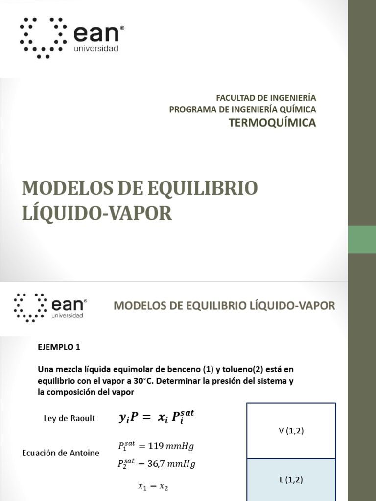 Modelos de Equilibrio Líquido Vapor | PDF | Ingeniería Química | Física