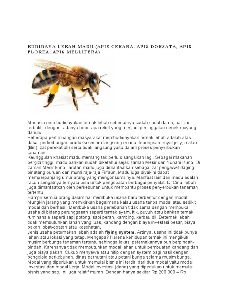 Budidaya Lebah Madu (Apis Cerana, Apis Dorsata, Apis Florea, Apis Mellifera) | PDF | Sains ...