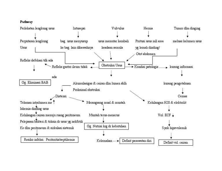 Pathway Ileus | PDF