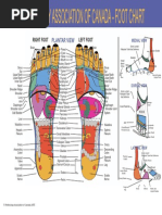 Chinese Reflexology Foot Charts | PDF | Large Intestine ...