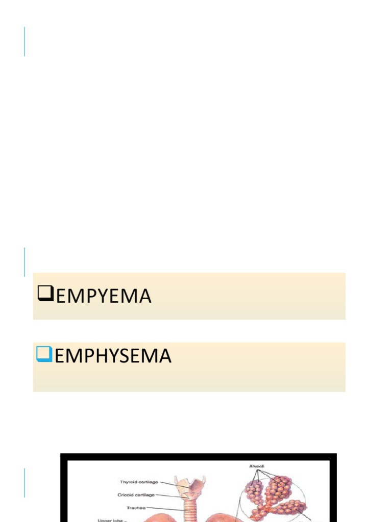 Empyema | PDF | Lung | Respiratory Tract