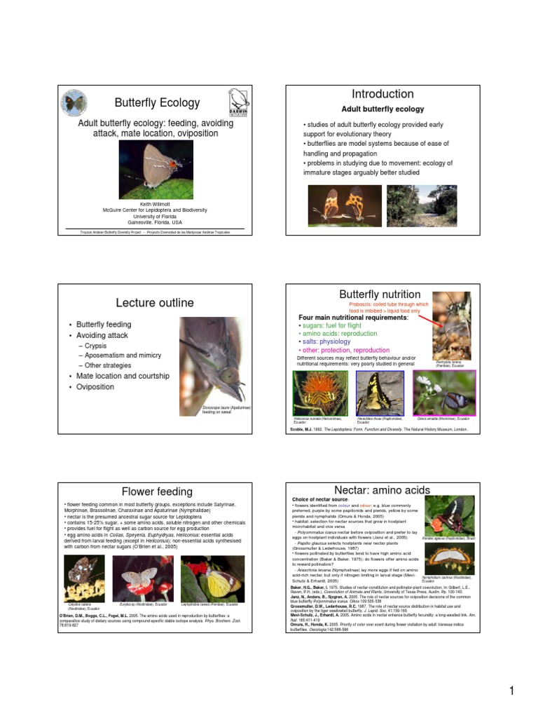 05 Butterfly Ecology 2 | PDF | Butterfly | Lepidoptera