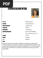 Curriculum Jonathan | PDF