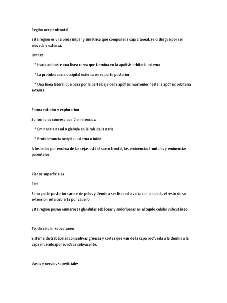 Región Occipitofrontal | PDF | Ganglio linfático | Cráneo