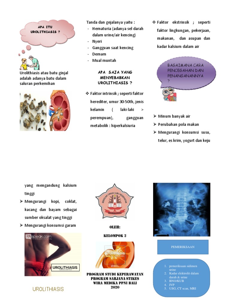 Leaflet Urolithiasis | PDF