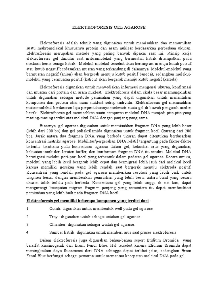 Elektroforesis Gel Agarose | PDF