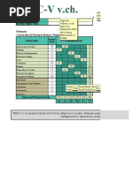 Protocolo de Registro Wisc V | PDF | Neuropsicología | Cognición
