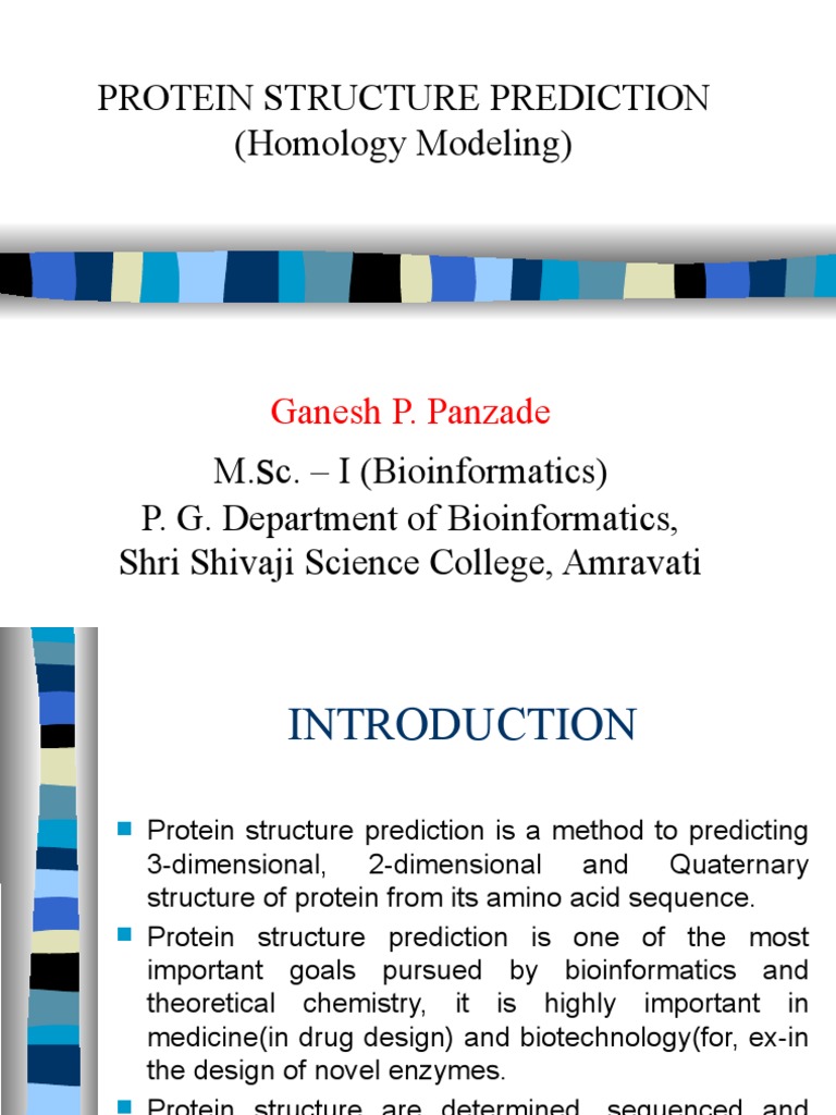 Protein Structure Prediction | PDF | Protein Structure | Structural Biology