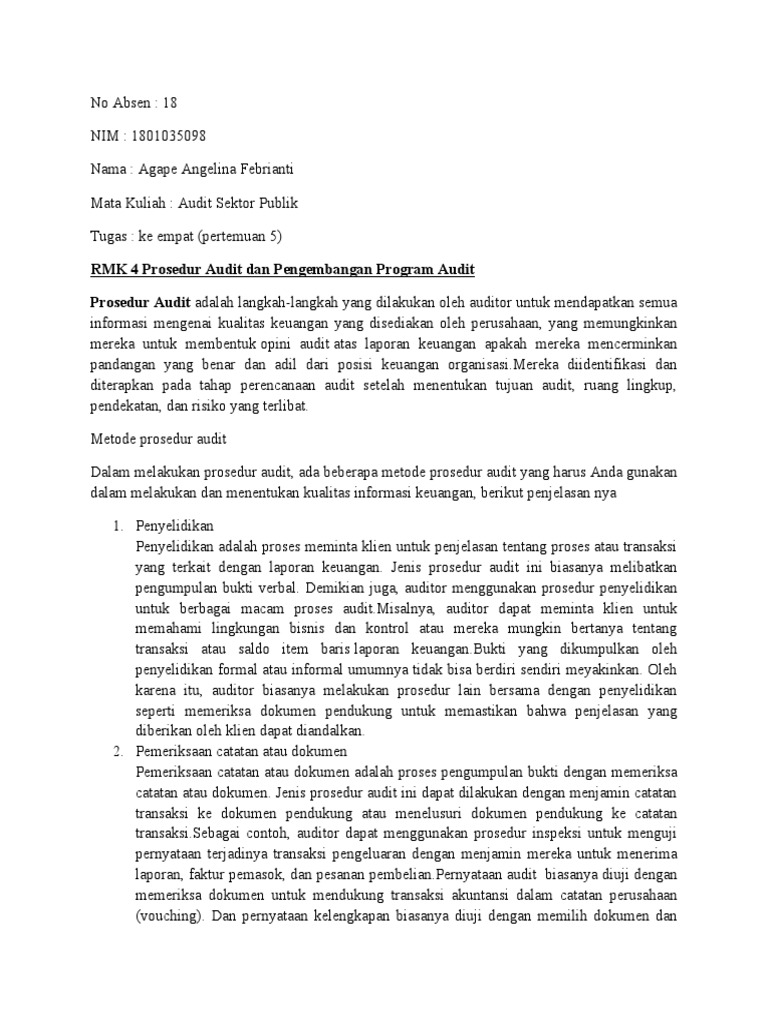 Audit Sektor Publik | PDF