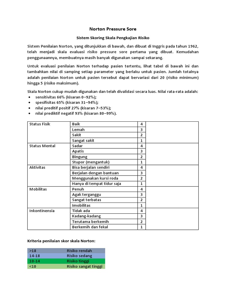 Norton Pressure Sore | PDF