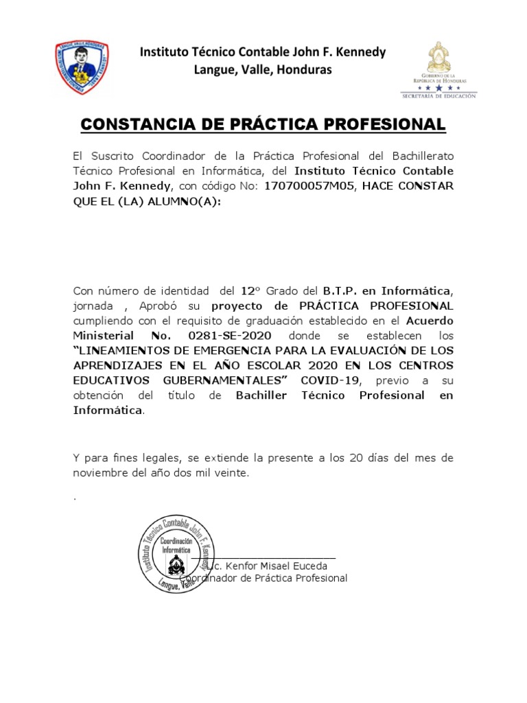 Constancia de Práctica Profesional | PDF